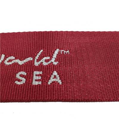 Double side design embroidered nylon webbing | webbing manufacturers